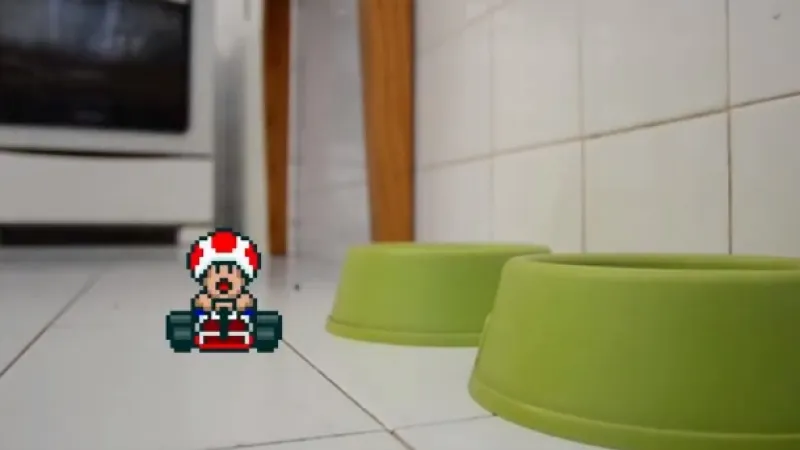 Dog Eats Toad In Real Life Mario Kart - Game Informer